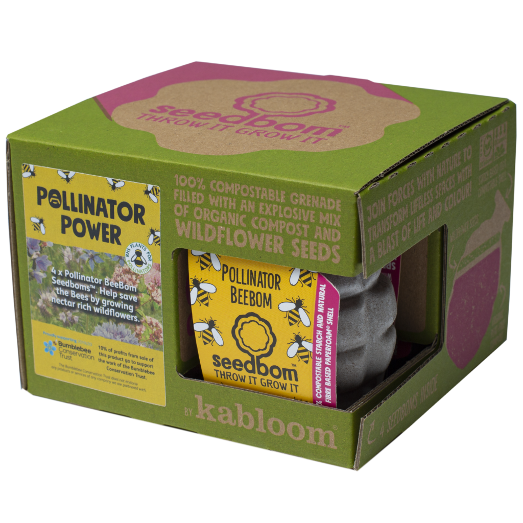 Pollinator Power Seedbom Gift Box - Bee Friendly Seed Bombs
